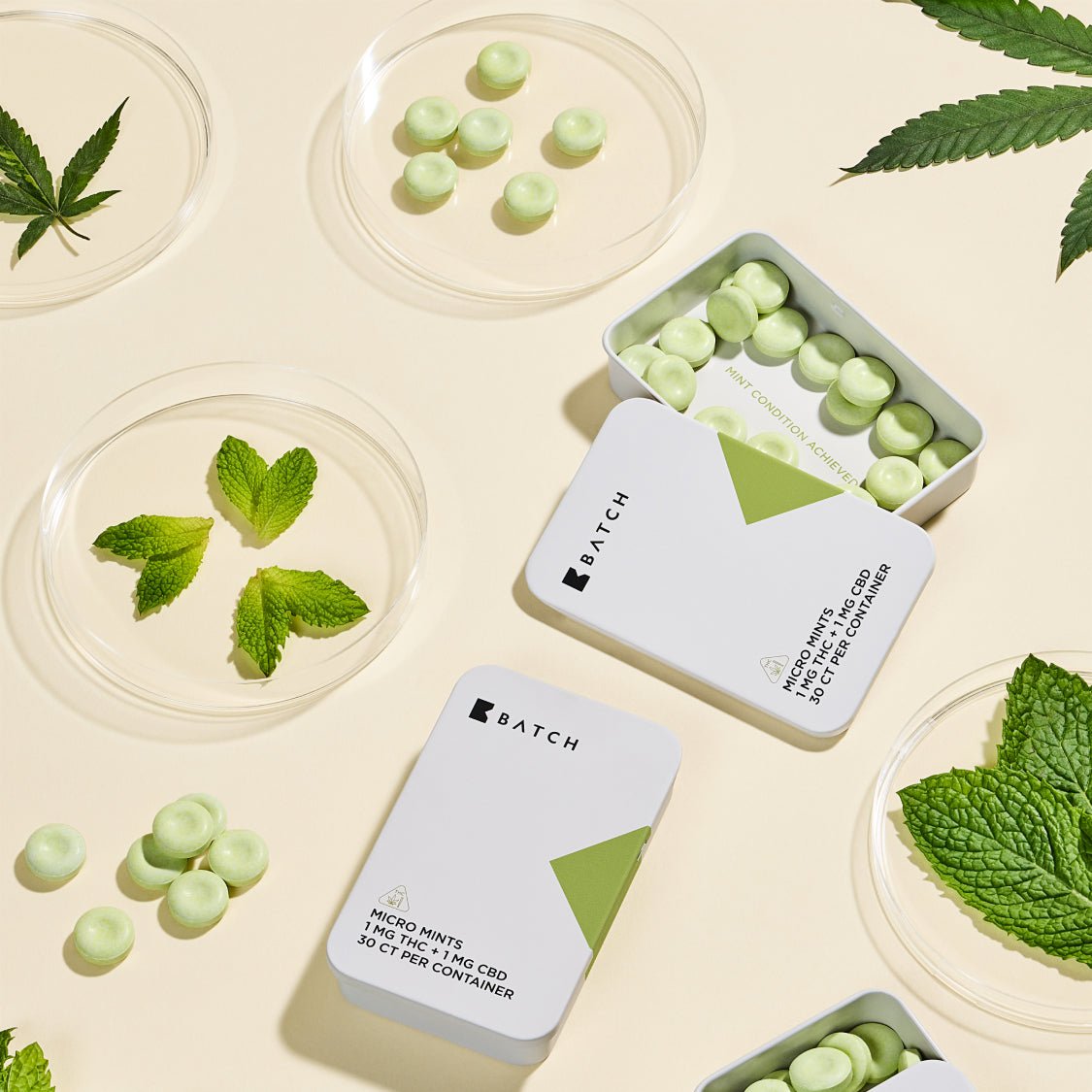 THC Mints – BATCH